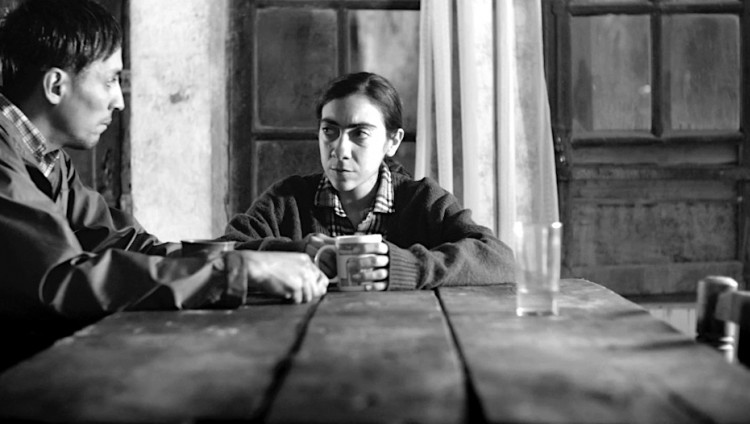 Agenda Cine: La calma